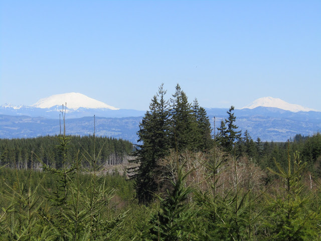 Holly's Horse Tales and Trails: Camp Wilkerson, Fort Stevens State Park ...