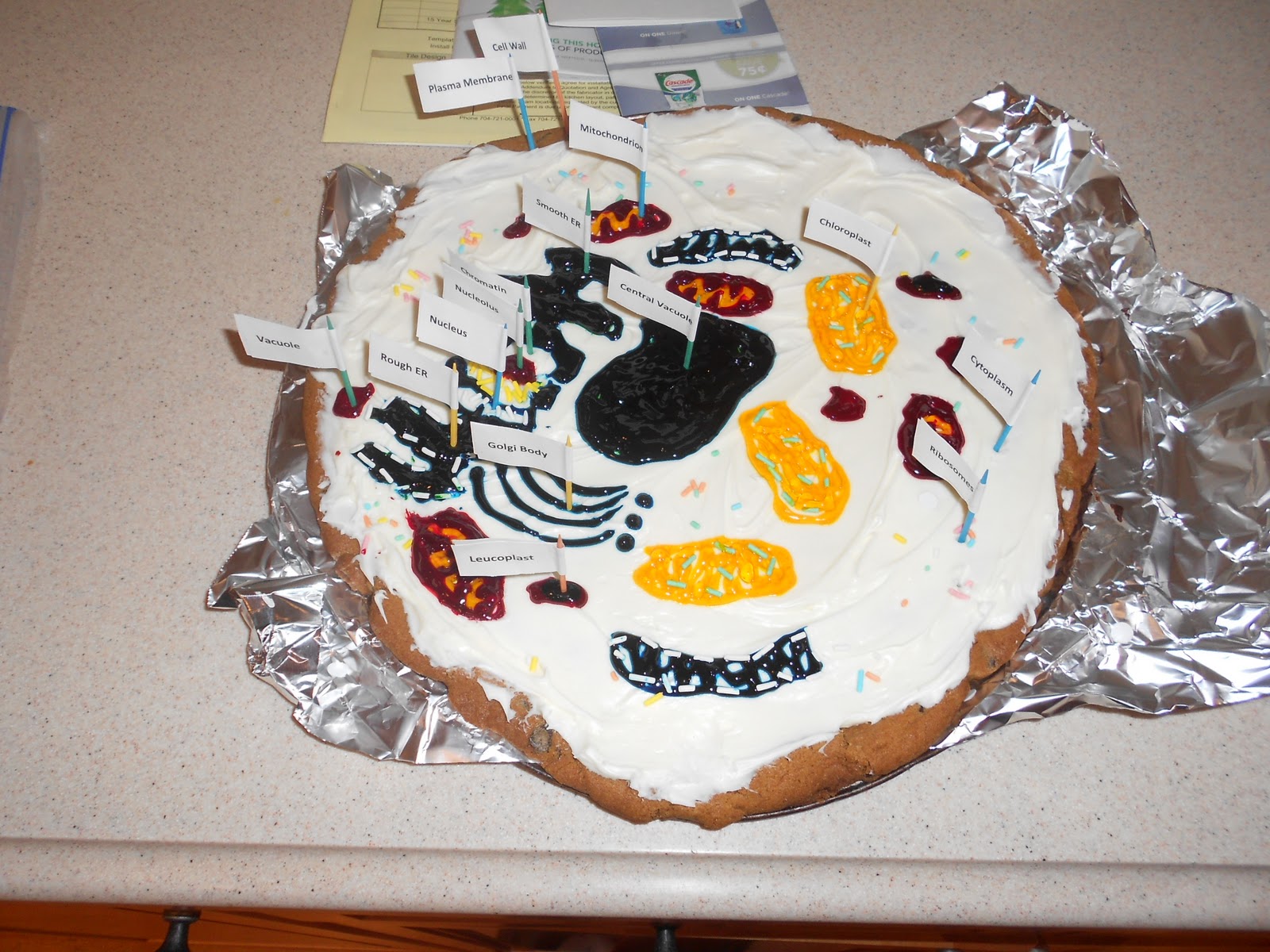 Eclectic Montage: Edible Science - Cellular Cookie