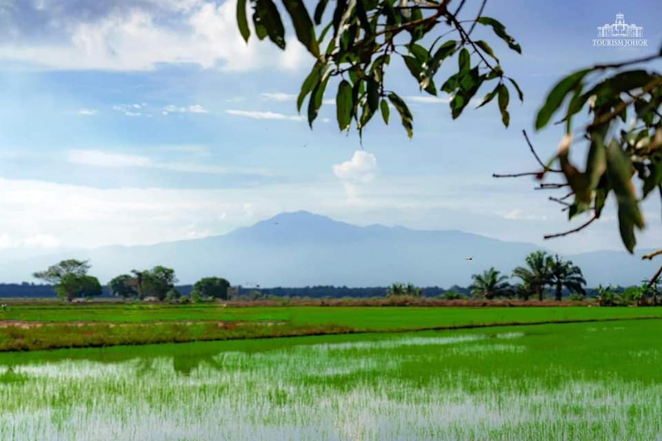 SAJE SUKA-SUKA: 20 tempat menarik di Muar dan Tangkak