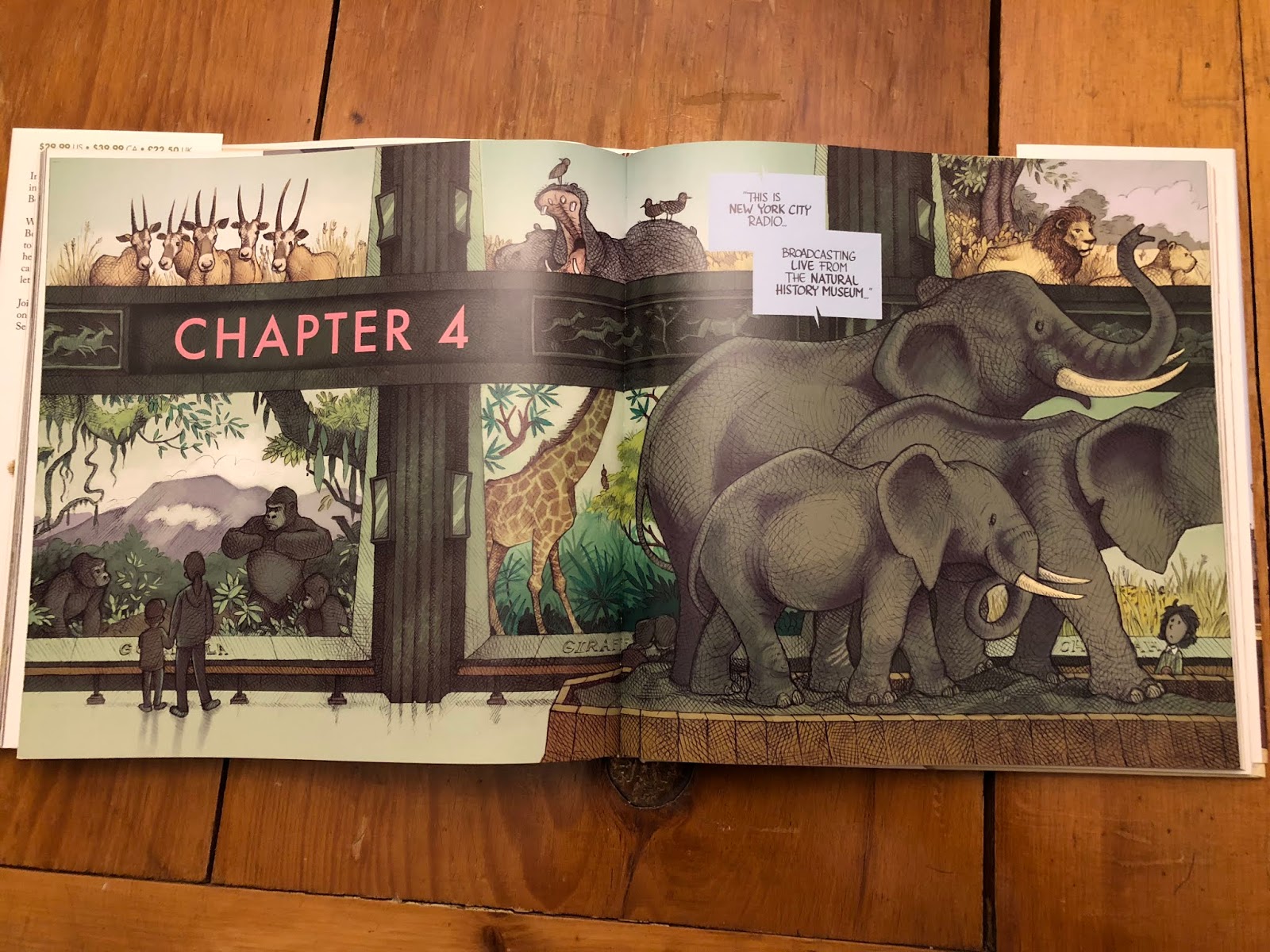 David Petersen's Blog: Words & Pictures: Hybrid Books