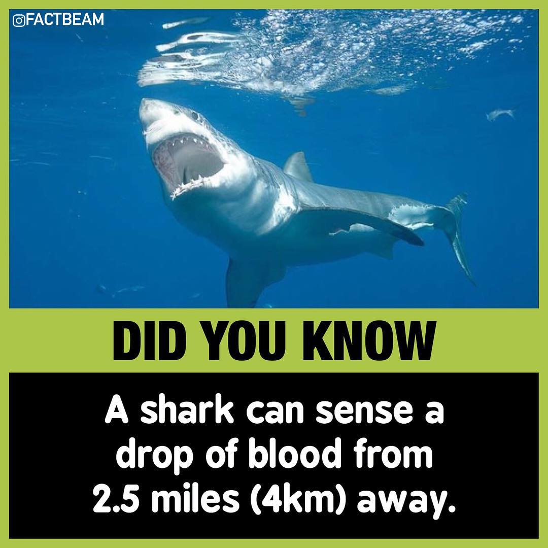 Amazing Facts, Interesting fact, Unbelievable Facts #2