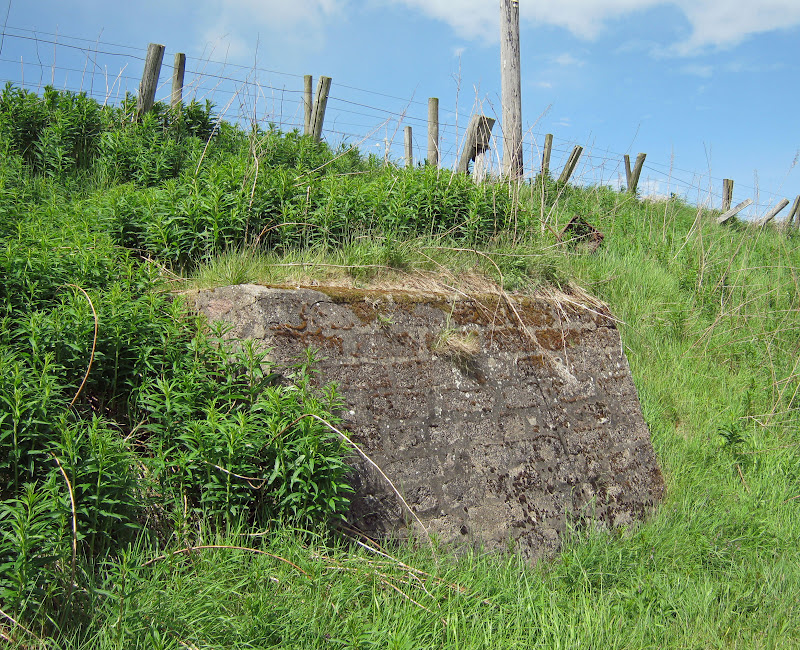 Walking The Line: Parkhill Station and Gavin Greig