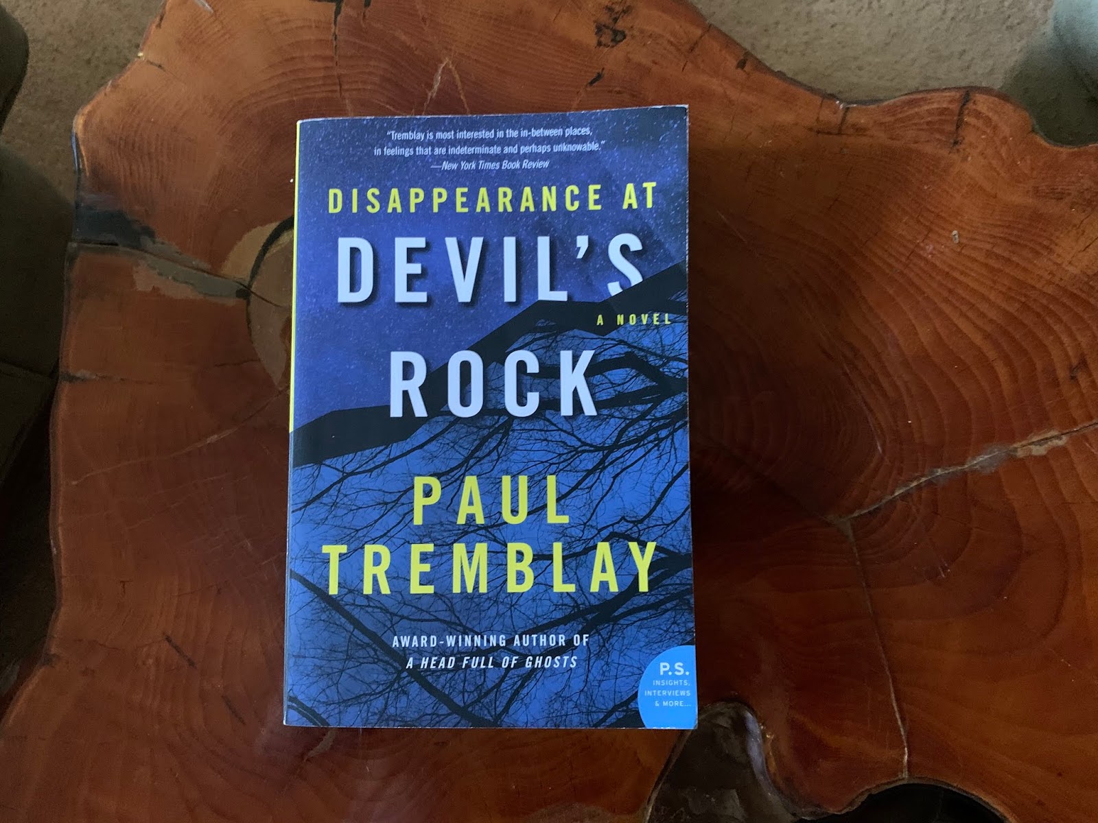 Book Review: Disappearance at Devil's Rock