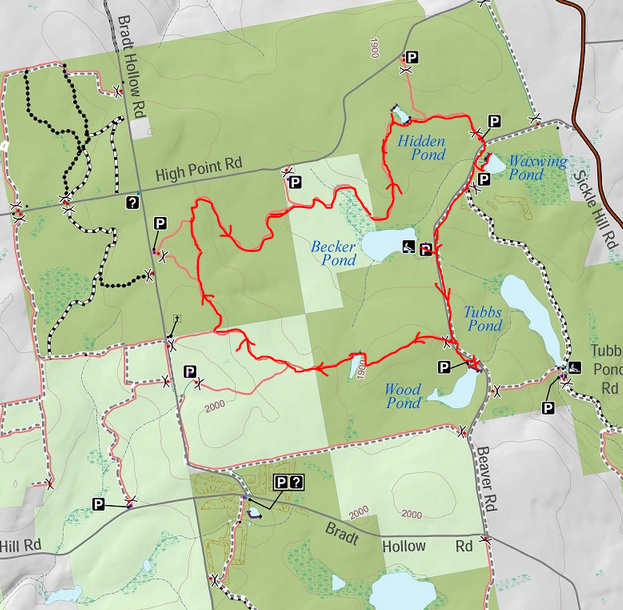 Walking Man 24 7: Partridge Run WMA(Berne-Helderbergs, Albany County)
