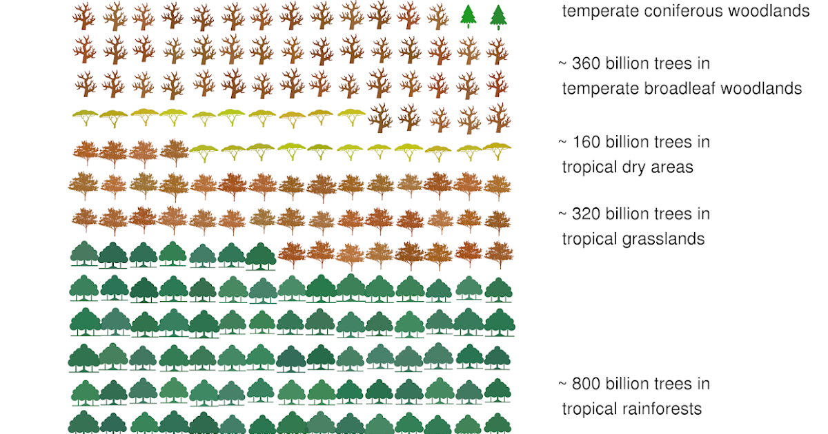 There are 400 trees for every human on earth