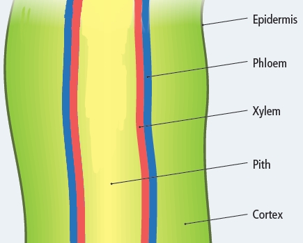 Leaving Cert Biology: April 2016