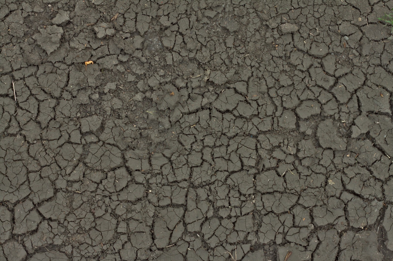 Ground Crack Texture