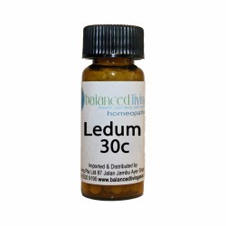 LEDUM | Click2Homeopathy-Homeopathy Remedies