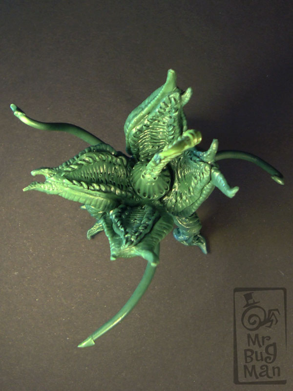 Mr. Bug Man: Adult Basidirond