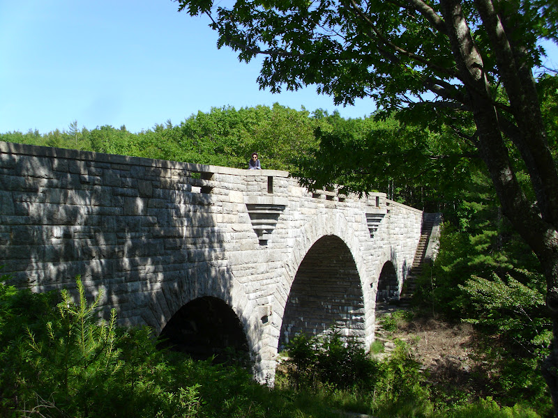 Gains And Losses: Life Through Sharon's Eyes: The Bridges Of Acadia ...