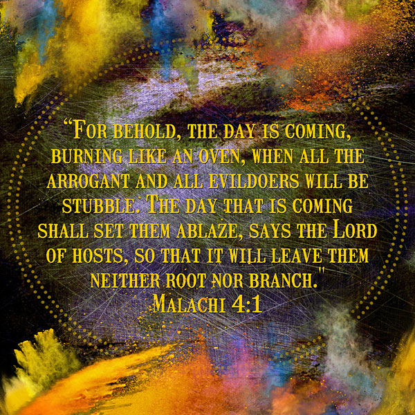 Layout for Today: Stubble Set Ablaze