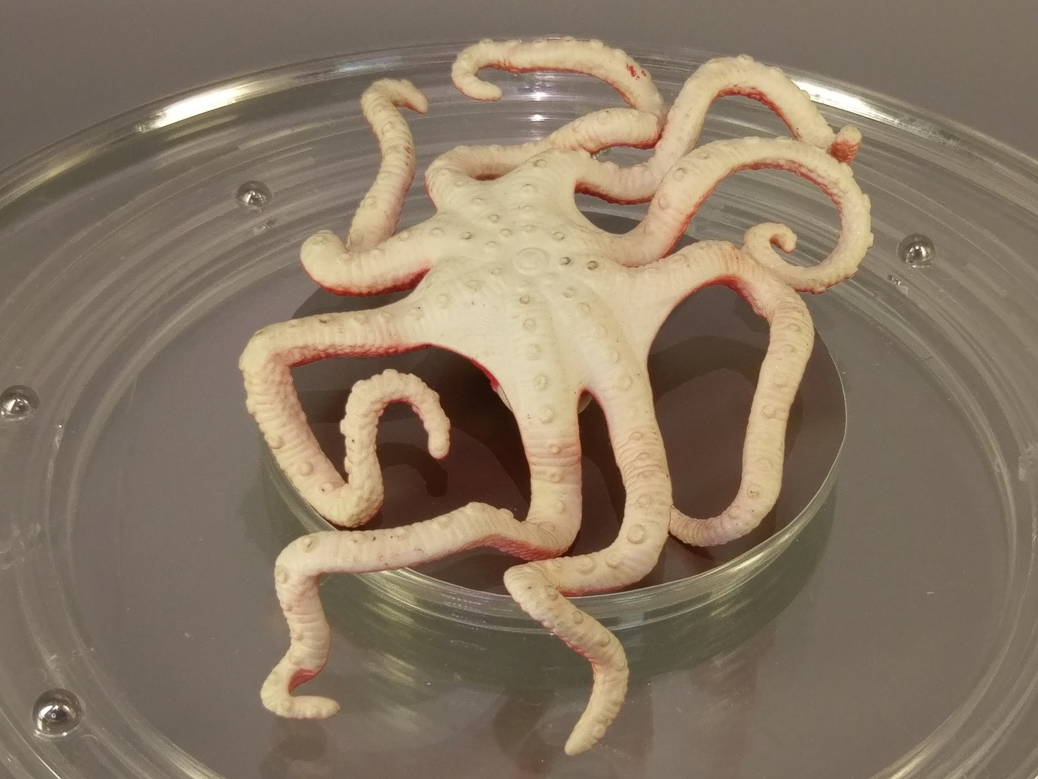 Fisher Price Imaginext Ghost Phantom OCTOPUS Pirate Island Pretend Play ...