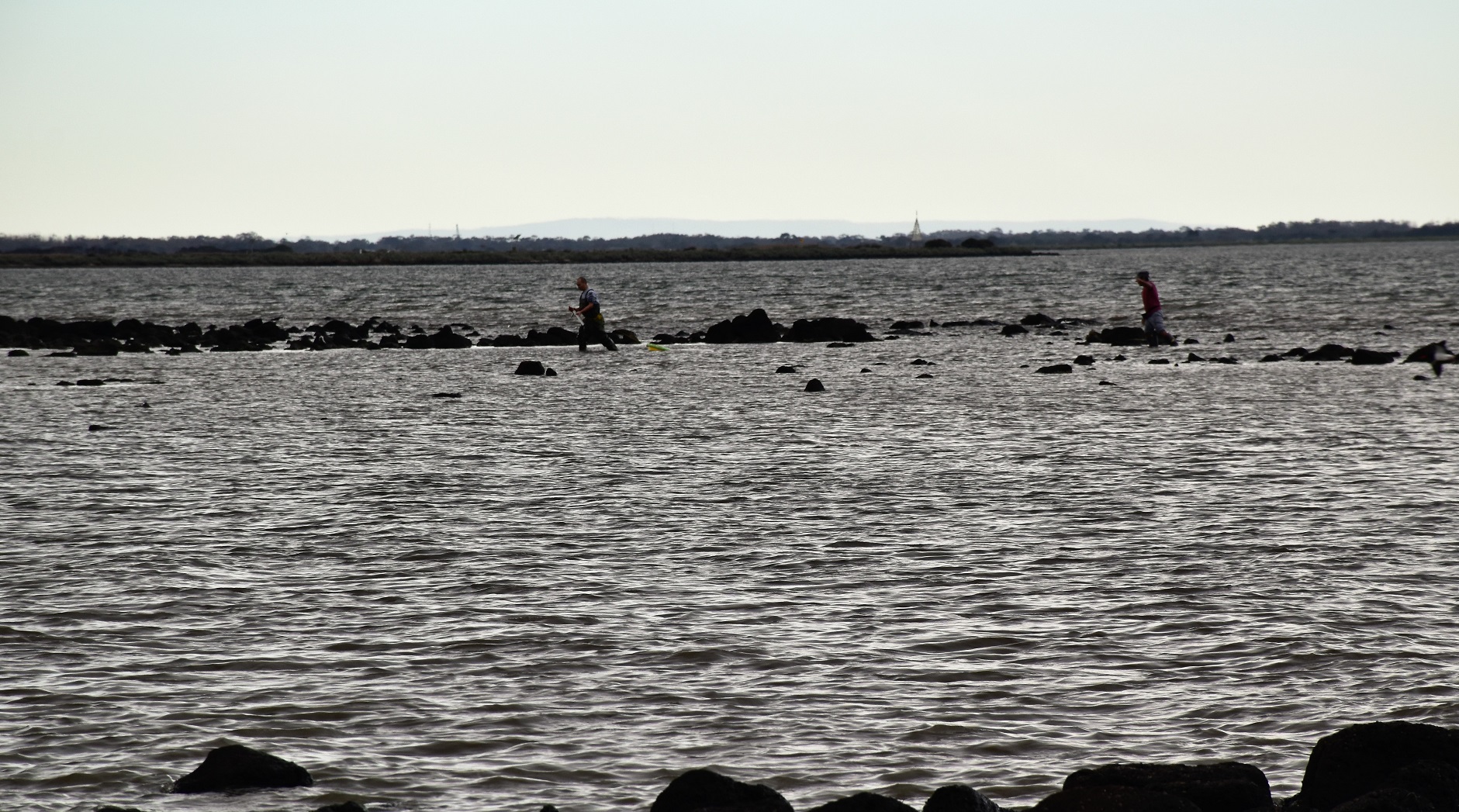 Goin' Feral One Day At A Time: Kirk Point Walk - July 2021
