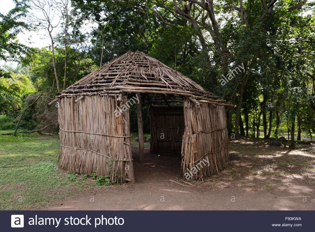 Paulgoree: An Indigenous Hut In Balboa Canyon San Diego, CA ...