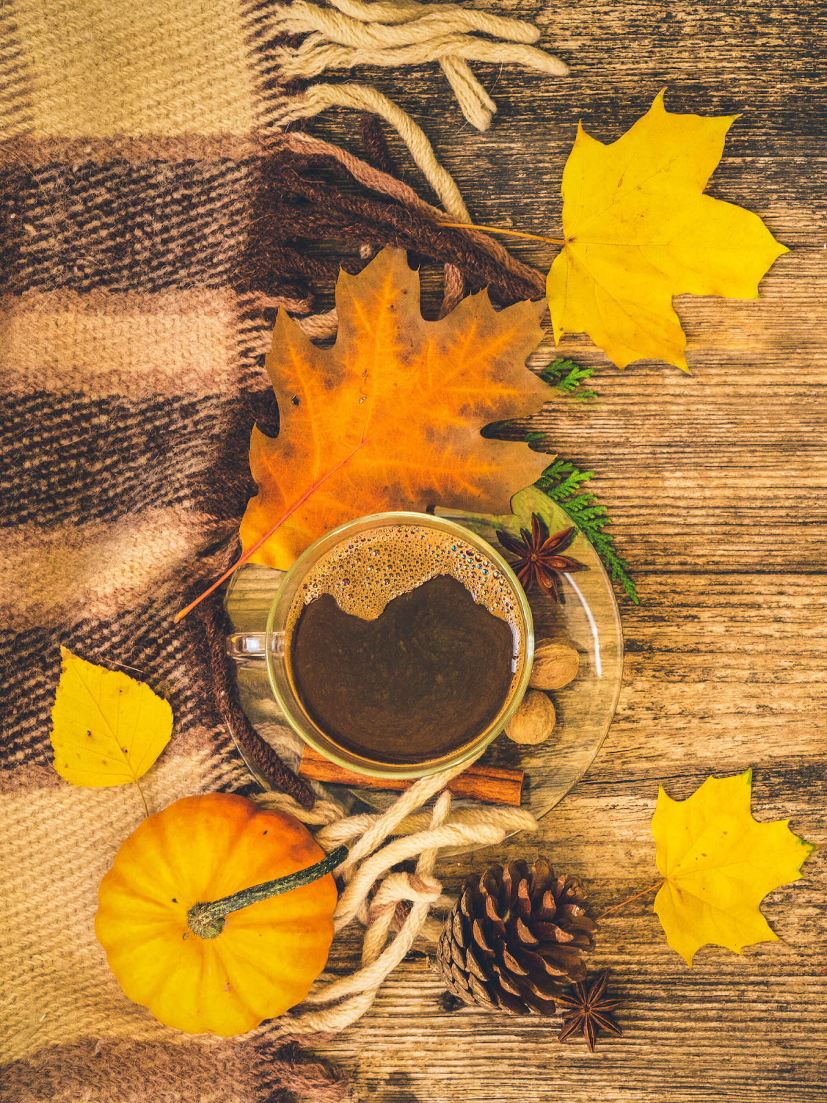 Everything You Need to Bring Fall Into Your Home | Our Good Life