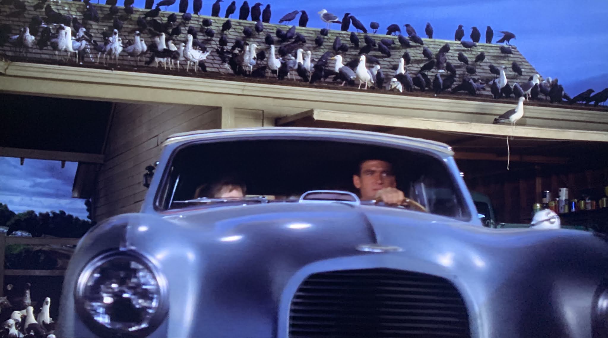 MUSINGS OF A SCI-FI FANATIC: The Birds (1963)