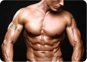 The New Skinny You: Muscle Toning Meal Plan