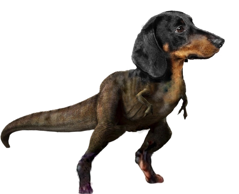 Tiny Tina Tumbleweed: Ninjasaurus Rex