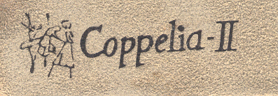 Antique Pointe Shoes: Chacott