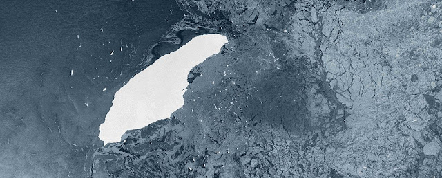 World's Biggest Iceberg Is on a Collision Course With a Remote Penguin Sanctuary - Science world