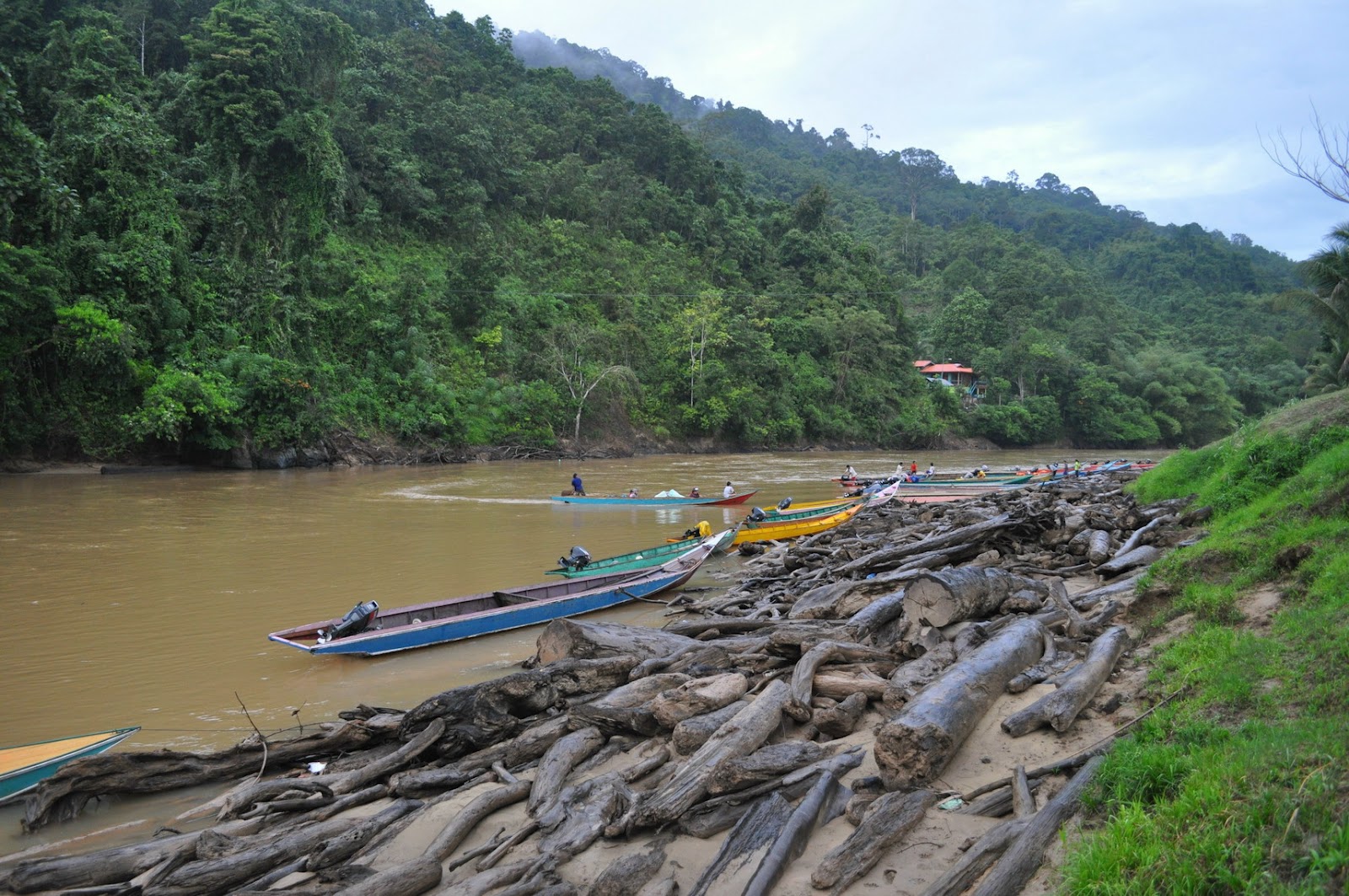 BORNEO DIGEST: CADANG BINA REL KERETAPI MINI DI PESISIR SUNGAI PENSIANGAN