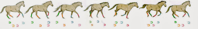 Horses & Ponies: Les Allures