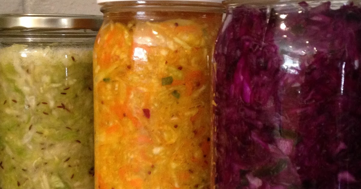 Edible Adventures: Back to the Bacteria