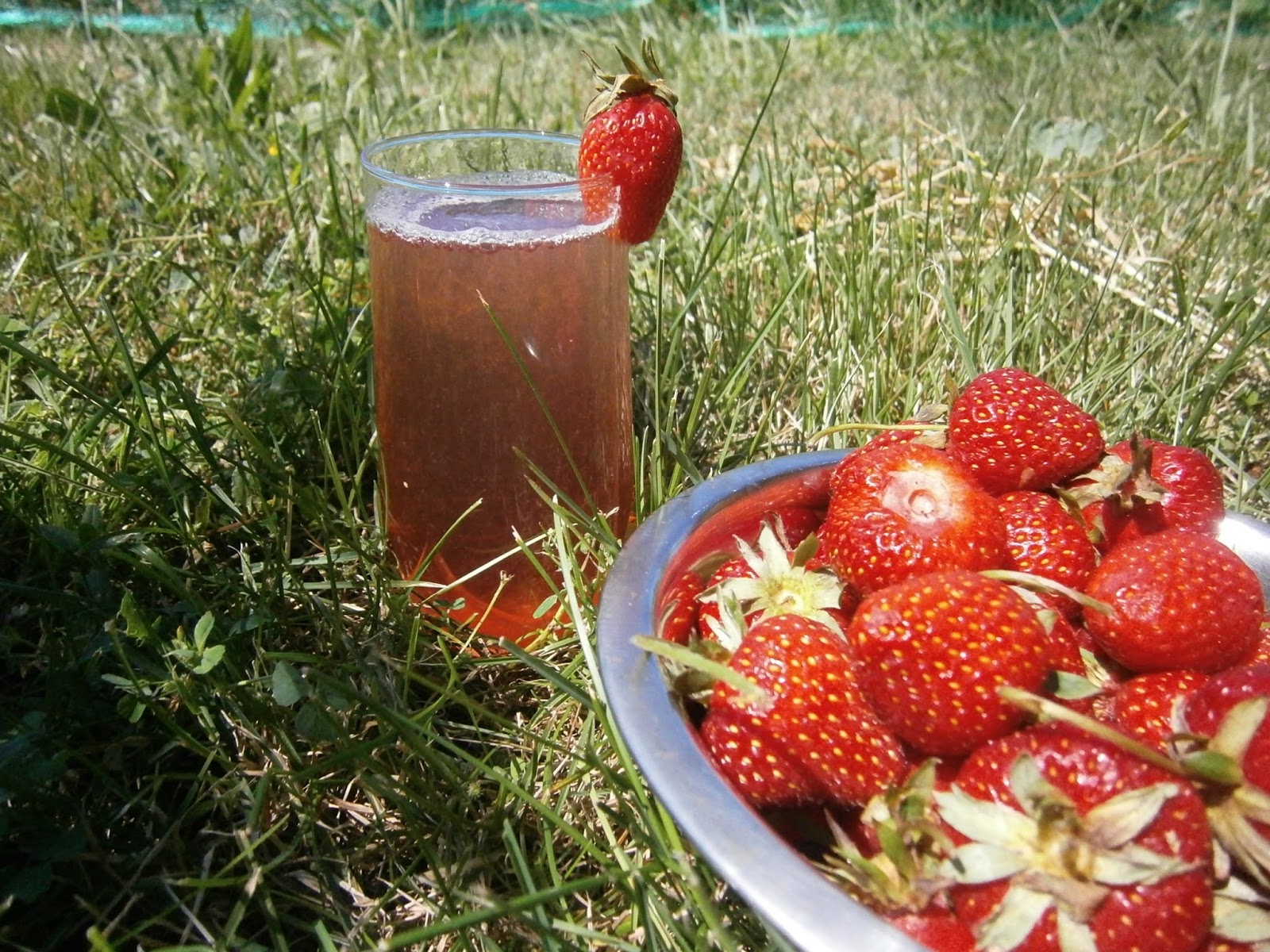 Délices d'une novice: Sirop de fraises maison