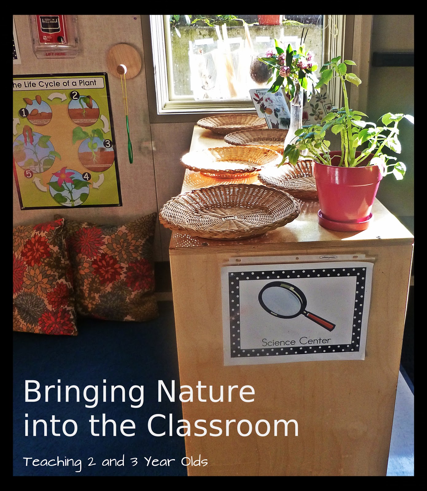 Bringing Nature into the Classroom - Teaching 2 and 3 year olds