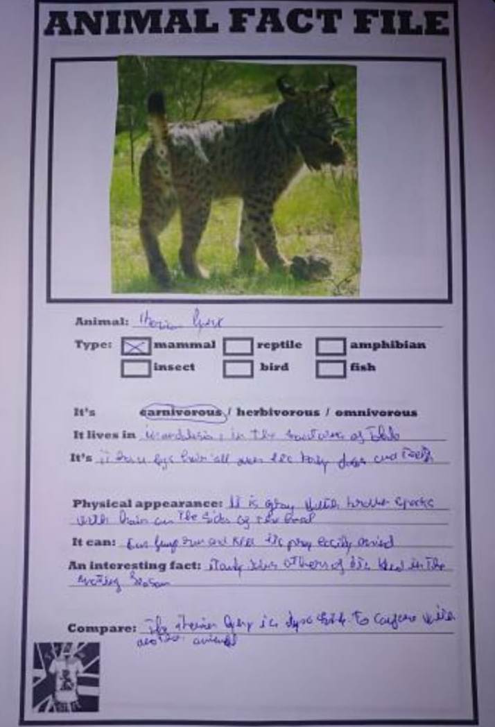 The English T-shirt: ANIMAL FACT FILES. MADE BY STUDENTS OF 1st ESO E