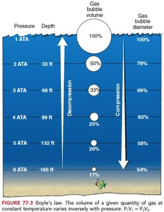 Physics 111: Fundamental Physics I: The Physics of Scuba Diving and ...