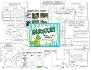 Our Sweet Success: Alligator Research Bundle {with Math and Literacy}