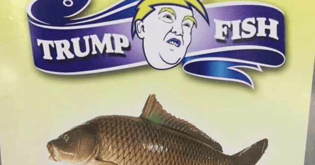 Terrierman's Daily Dose: Fish on Friday