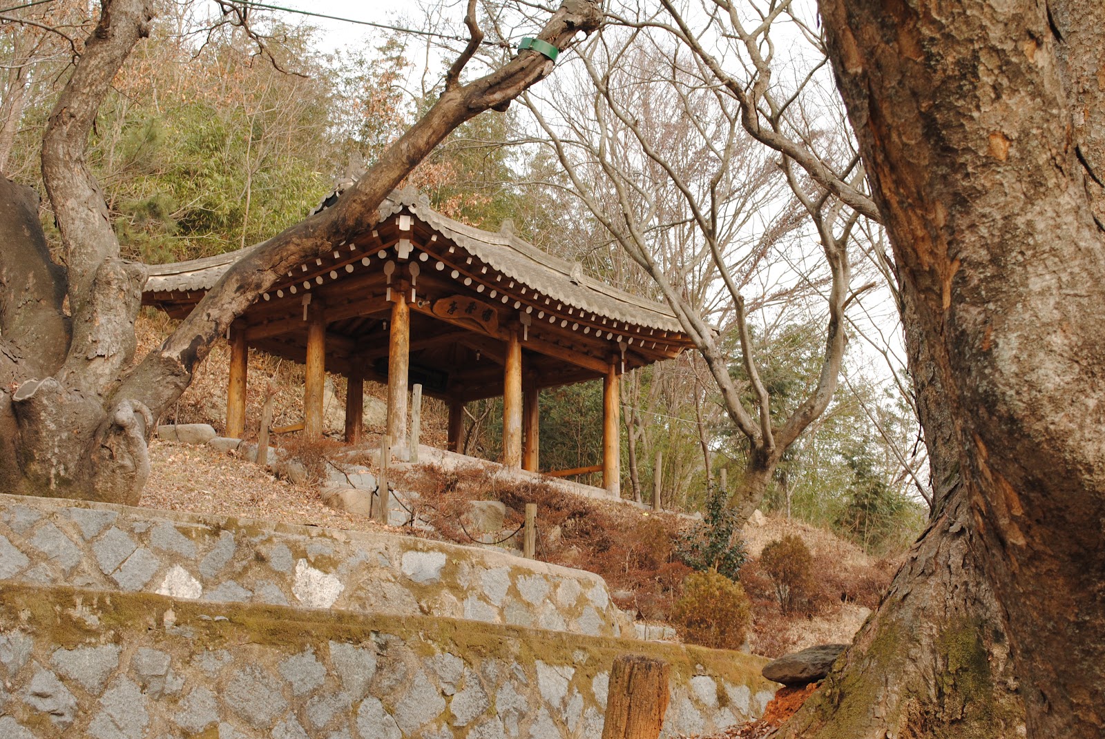 life abroad.: Seryang-je