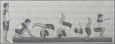 Teknik Dasar Roll Depan dan Roll Belakang Yang Benar - Jasmani Pedia