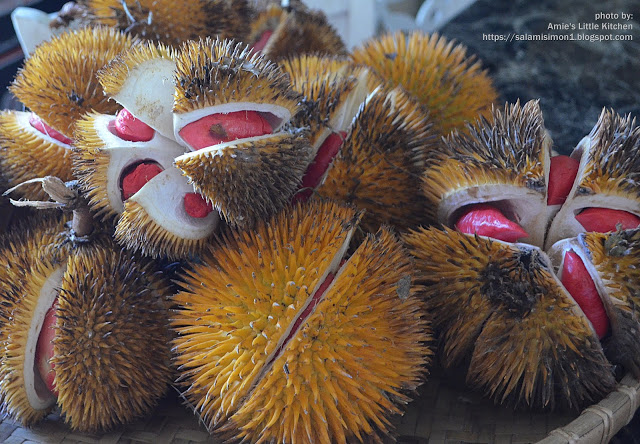 Buah Bundu @ Belunu @ Binjai, Bambangan & Durian Merah - Amie's Little ...