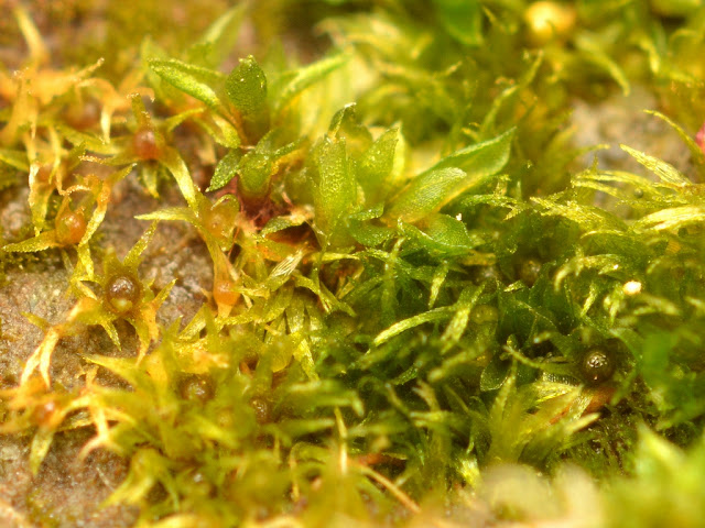 そよ風のなかで Part2: 11月 2019