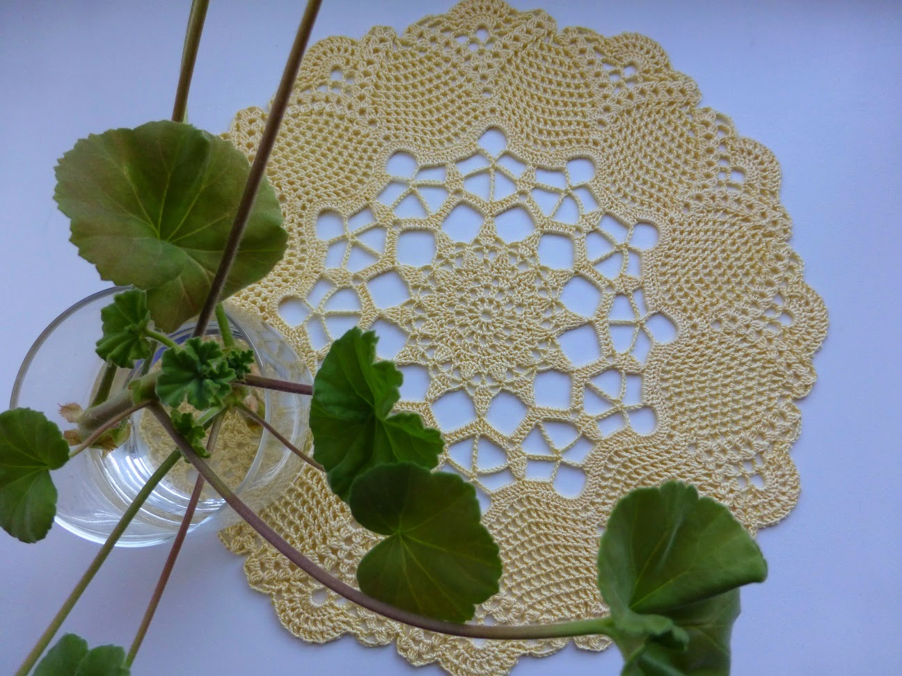 Panipaik: HEEGELDATUD LINIK (KOLLANE)