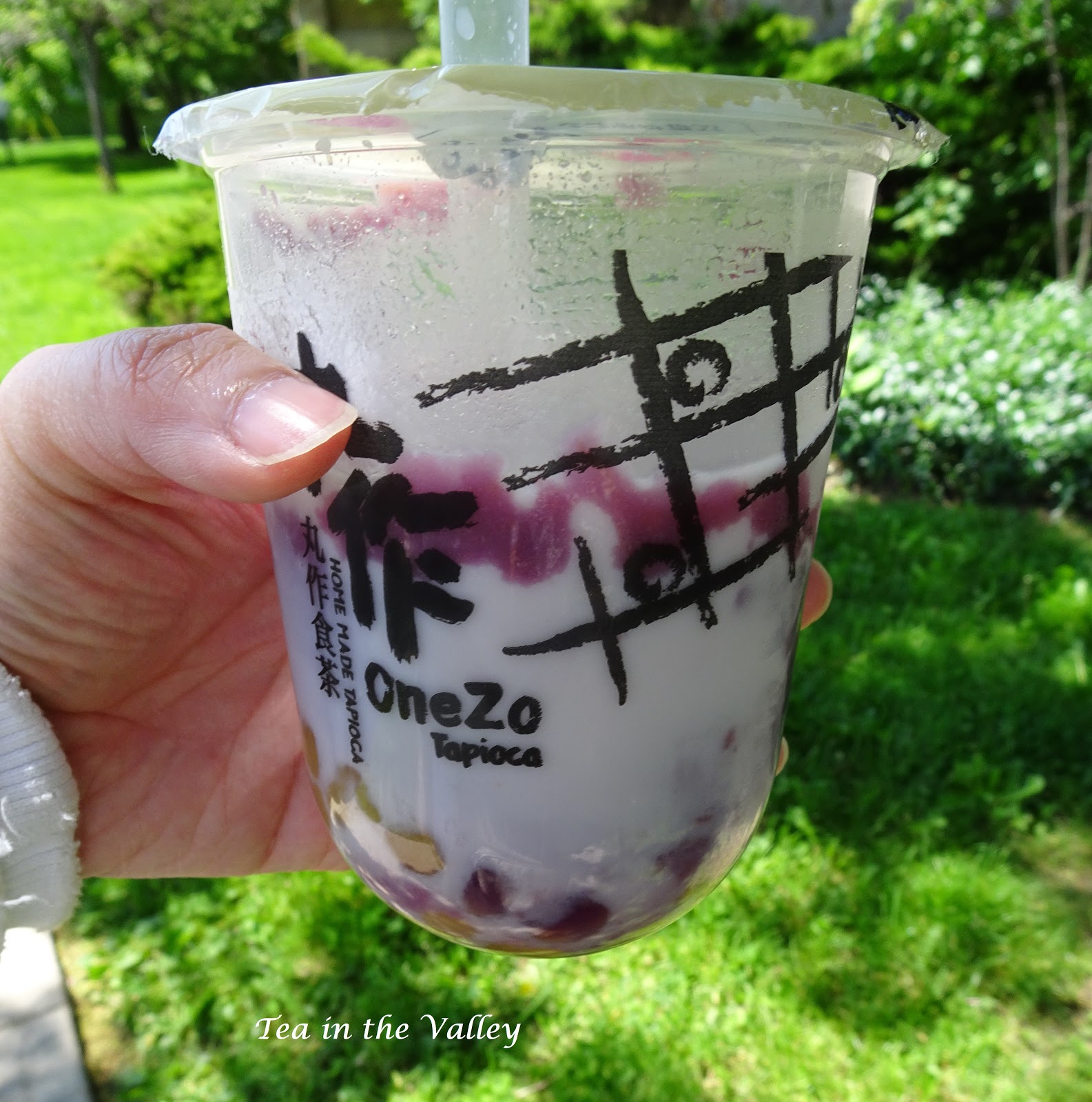 Tea in the Valley: Bubble teas with a twist