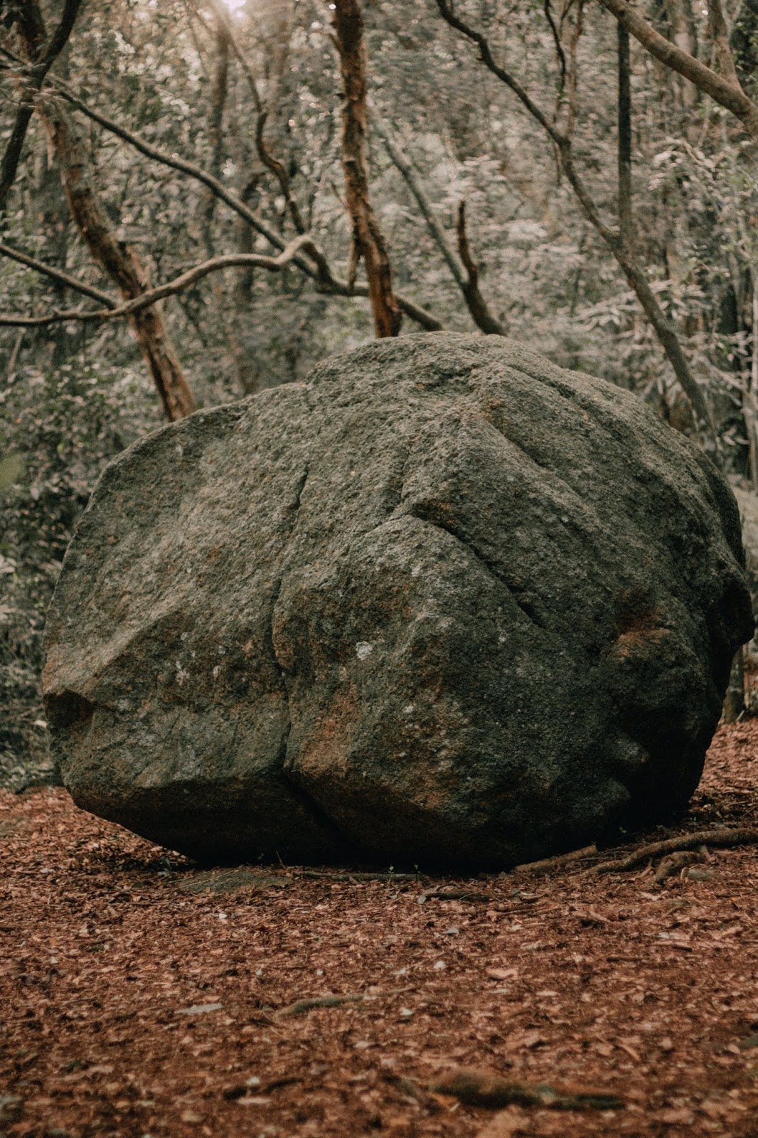BEDA #6 - Morro do osso: Trilha ecológica em Porto Alegre | Mad Souls