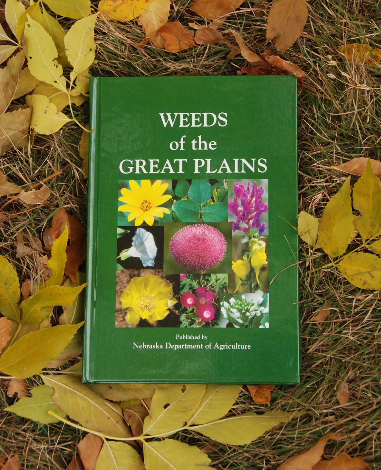 Gaia Garden: A Great "New" Reference on Weeds