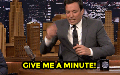 Lizzy's Luggage: When You Forget to Plan or Write a Post...