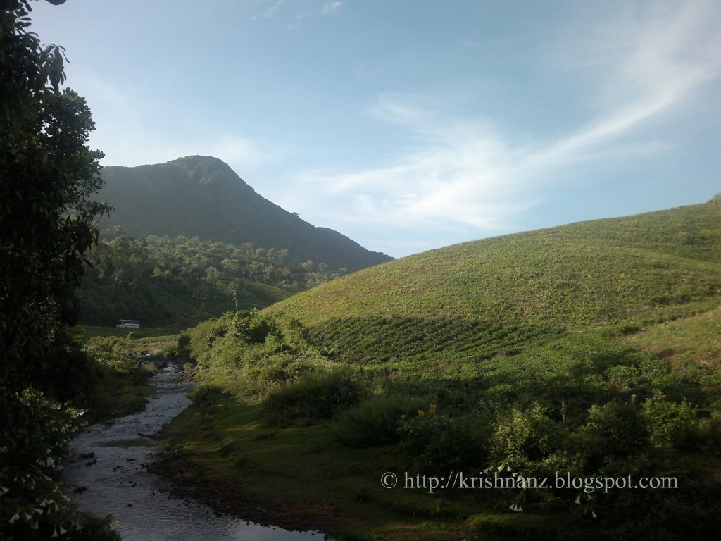 Sri Krishna swami Temple Elappara - TravelersOutlook: Travelers Photo ...