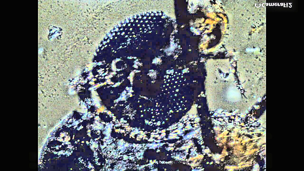 Don Schaeffer's Photos and Art: Using the Eyepiece Camera