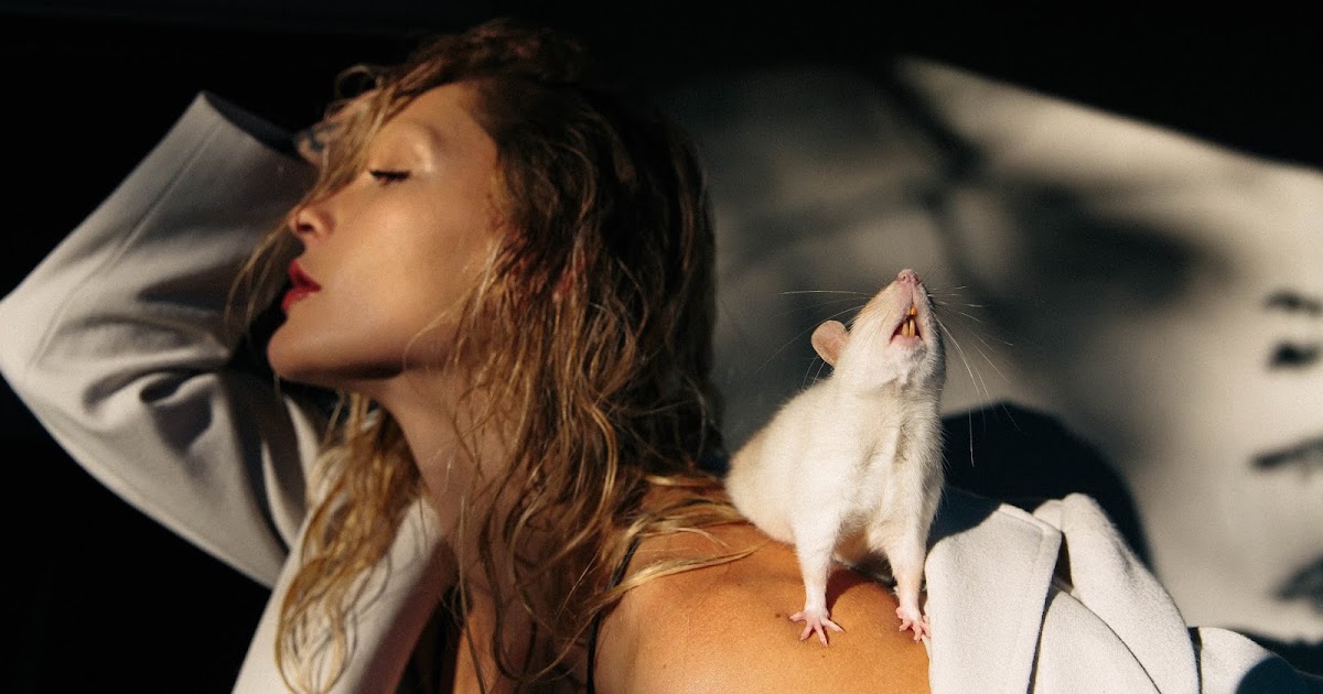 Rattie Ratz Rescue: Rats, But Make it Fashion