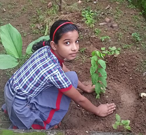 Plant A Tree Challenge - Photogallery - Library - Kendriya Vidyalaya ...