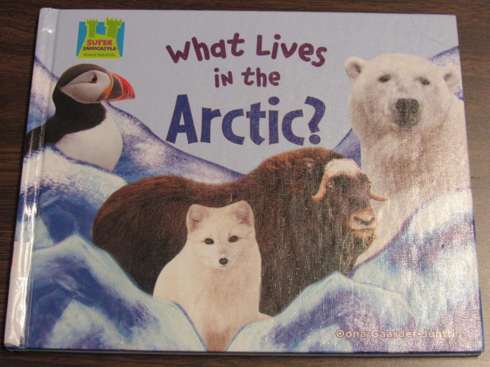 Tots and Me... Growing Up Together: Arctic Animal Fun: Arctic Fox Lesson