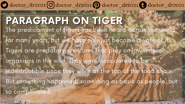 Tiger 100, 150, 200, 250, and 300 Words Paragraph for Kids, Students ...