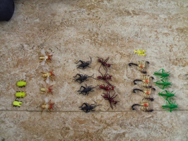 Maths Page: Mini beast maths