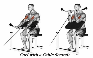 Look Big with Super Biceps: Biceps Workout for Big Arms